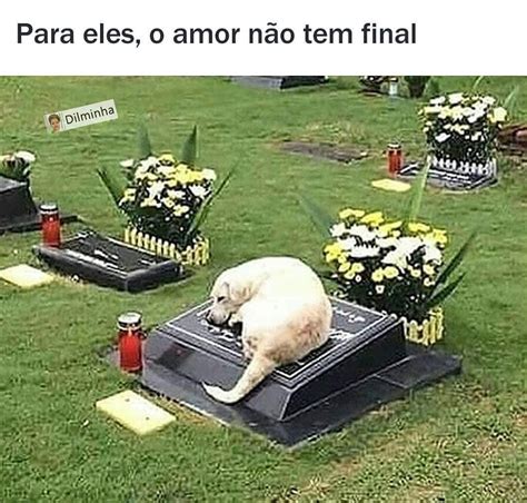 Agora Tudo Faz Sentido Memes
