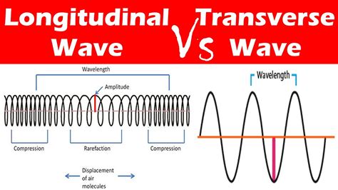 Longitudinal Wave And Transverse Wave Difference