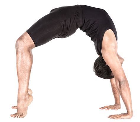 FLEXIBILIDAD MUSCULAR 3 métodos y ejercicios para mejorarla