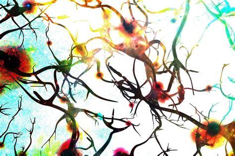 Qué es la demencia frontotemporal y cuáles son sus principales síntomas