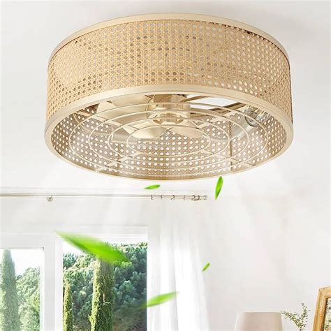 Ainqiant Boho Caged Ceiling Fan With Light 20 Rattan Flush Mount