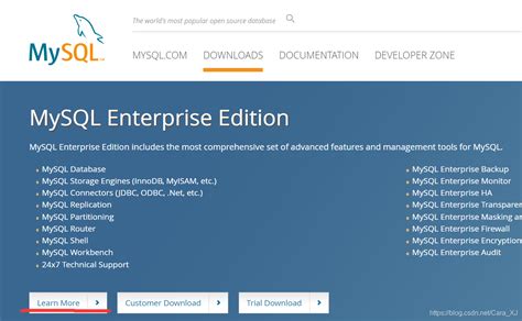 mysql下载安装教程 cara xj的博客 程序员宅基地 程序员宅基地