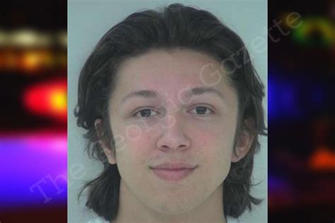 Joshua Wilson Fayette County Jail Bookings
