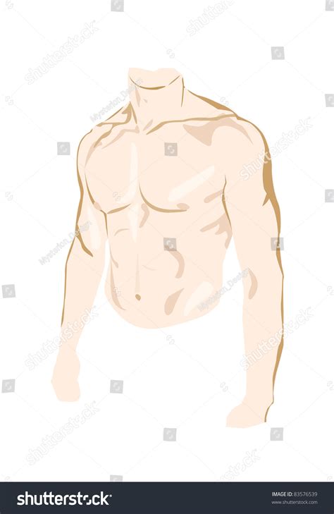 Male Muscular Torso Vector Illustration Stock Vector Royalty Free