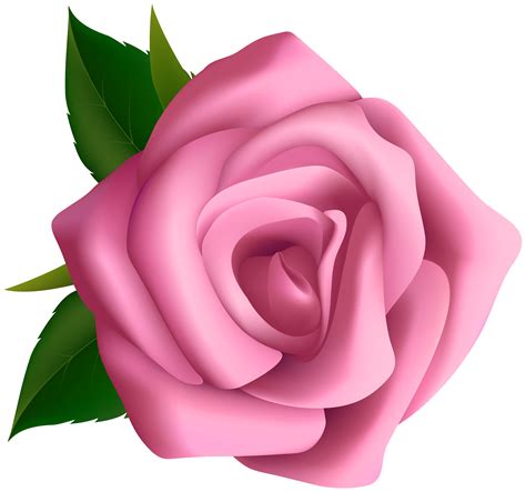 Large Pink Rose Clipart Rose Clipart Rose Pink Rose Png Porn Sex Picture