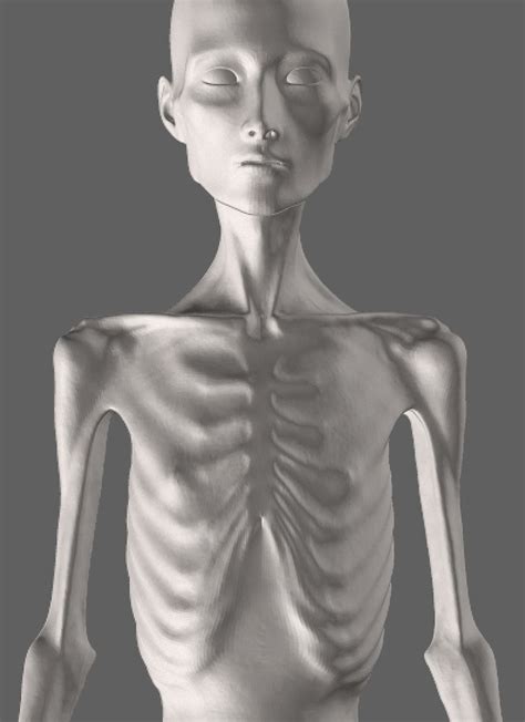 Anorexic Female D Model Turbosquid