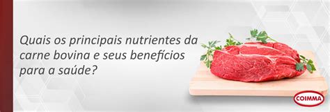 Quais Os Principais Nutrientes Da Carne Bovina E Seus Benef Cios Para A