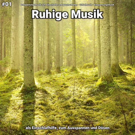 01 Ruhige Musik als Einschlafhilfe zum Ausspannen und Dösen Album
