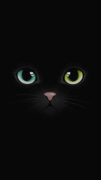 17 Fondos de pantallas con gatitos que te derretirán de amor