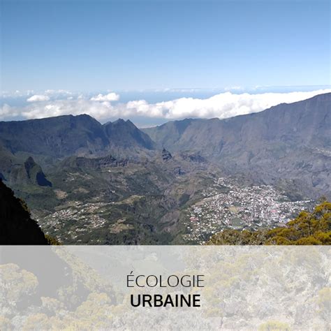 schema d aménagement régional AGORAH Agence d urbanisme à La Réunion