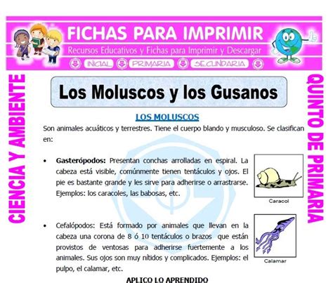 Fichas De Ciencia Y Ambiente Para Quinto De Primaria 31 FICHAS