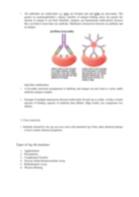 SOLUTION Immunology Antigen Antibody Reaction Studypool