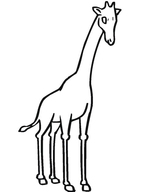 Outline Giraffes Clip Art Library