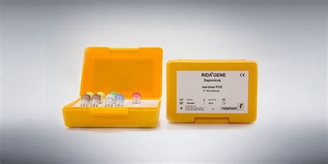 Sapovirus Testkit RIDAGENE R Biopharm AG für Magen Darm