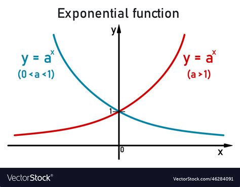graphs of the exponential function on number line vector image