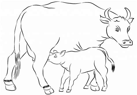 Desenhos De Animais Da Fazenda Para Colorir Como Fazer Em Casa