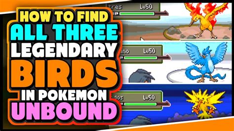 HOW TO FIND ALL THREE KANTO LEGENDARY BIRDS IN POKEMON UNBOUND