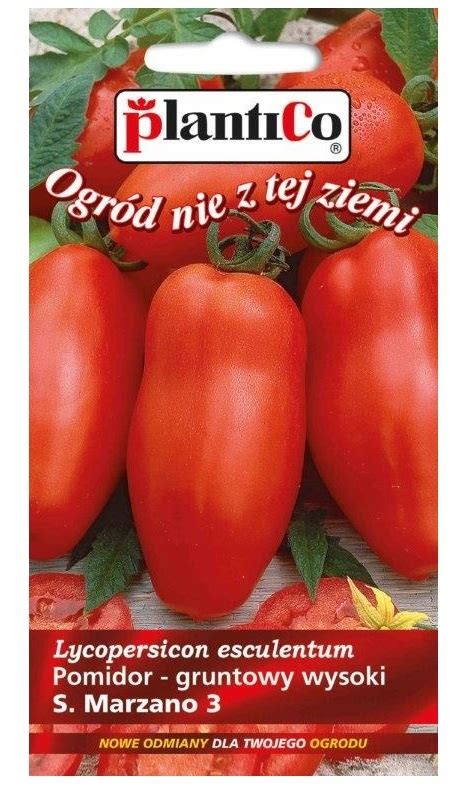 Pomidor Gruntowy Wysoki Smaczny S Marzano Nasiona G Plantico