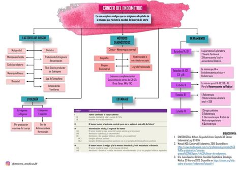 CÁNCER DE ENDOMETRIO MAPA CONCEPTUAL Mentes Médicas uDocz