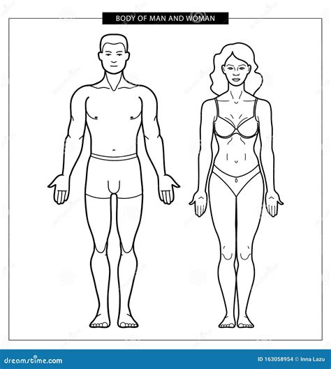Illustration Of Male And Female Body Stock Vector Illustration Of
