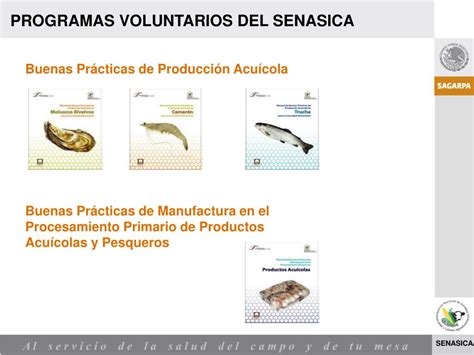 Ppt Programas De Reducci N De Riesgos En Productos Pesqueros Y