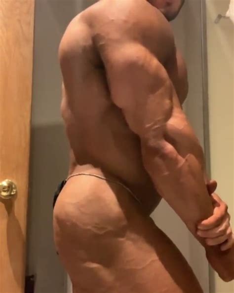 Gym Musky Bodybuilder On Tumblr