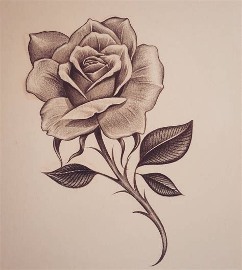 Dibujos De Rosas A Lapiz