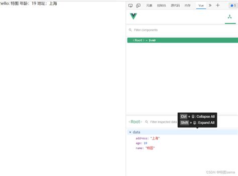 vue2学习教程（图文齐全，附带动图更加简单易懂）
