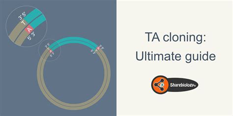 In Fusion Cloning Sharebiology