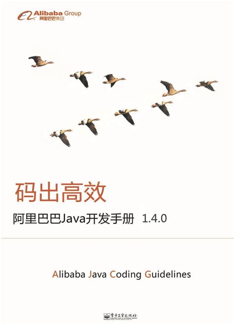 《阿里巴巴java开发手册》发布详尽版，新增16条设计规约 知乎