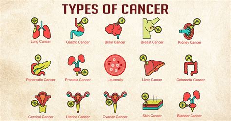 Types Of Cancer Symptoms Causes And Treatment Health Reactive Body