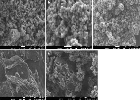 sem of a fe3o4 b fe3o4 sio2 c fe3o4 sio2 nh2 d go and e download scientific diagram