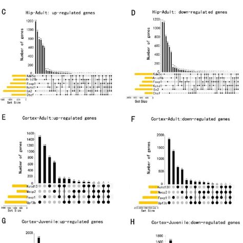 the intersection of the degs in different subgroups a b venn download scientific diagram