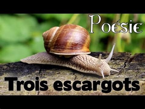 Apprendre les poésies tout seul Poésie Trois escargots 3
