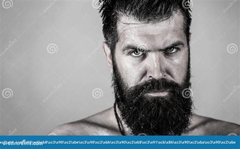 Portrait Brutal Bearded Man Handsome Brutal Male Closeup Portrait Of