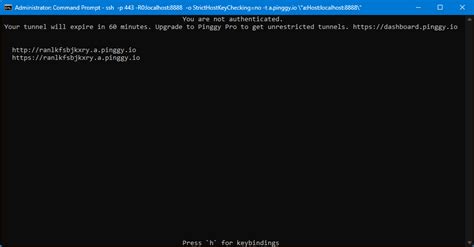 Sharing Jupyter Notebooks From Localhost Pinggy
