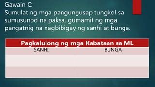 Sanhi At Bunga Part 2 PPT