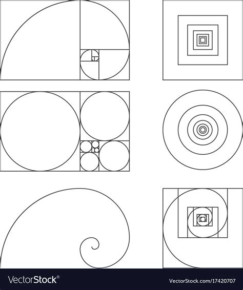 Golden Ratio Template Fibonacci Royalty Free Vector Image