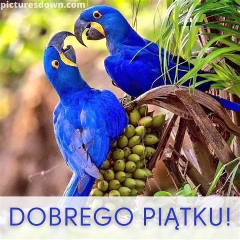 Kartka kawa na dzień dobry w piątek liście picturesdown