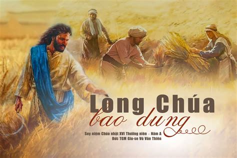 Lòng Chúa bao dung Suy niệm lời Chúa Chúa nhật XVI Thường niên Năm