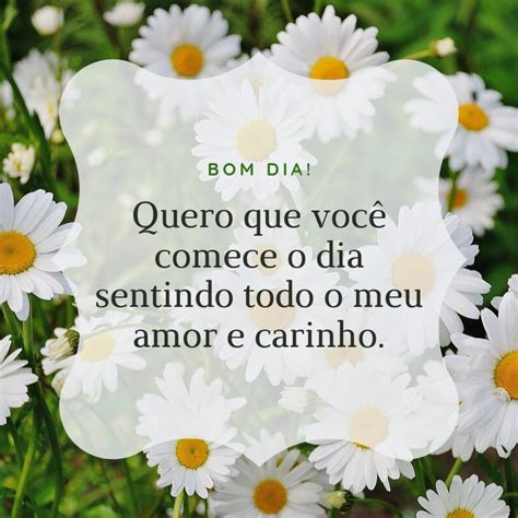 Mensagens Fofas De Bom Dia Para Espalhar Amor E Felicidade