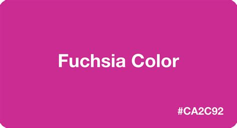 Fuchsia Color Best Practices Color Codes Palettes More