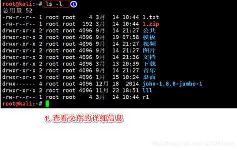 kali与shell编程 文件权限修改【一】 kali修改文件权限 csdn博客