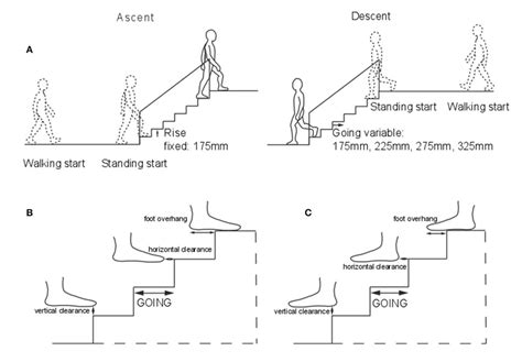 Ascending And Descending Stairs