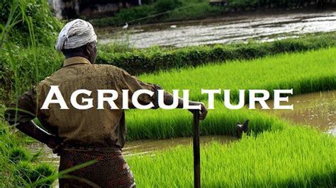 Agriculture Mind Map Notes Related Current Affairs IAS EXPRESS