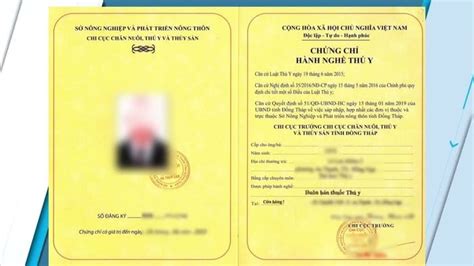 Chứng chỉ hành nghề thú y Điều kiện thủ tục cấp chứng chỉ