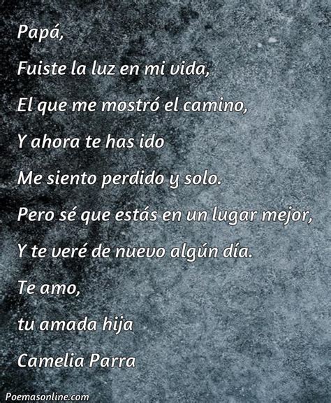 5 Mejores Poemas Para Papa Fallecido Poemas Online
