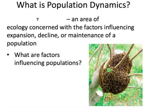 Ecology Ch Flashcards Quizlet
