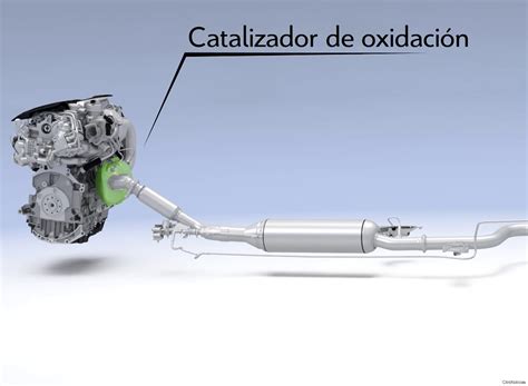 Ejemplo De Un Catalizador