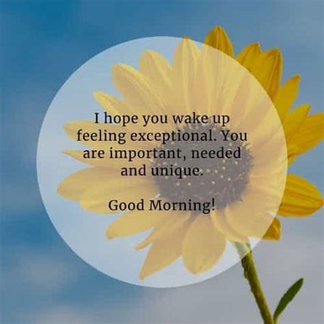 100 Motivational Good Morning Quotes